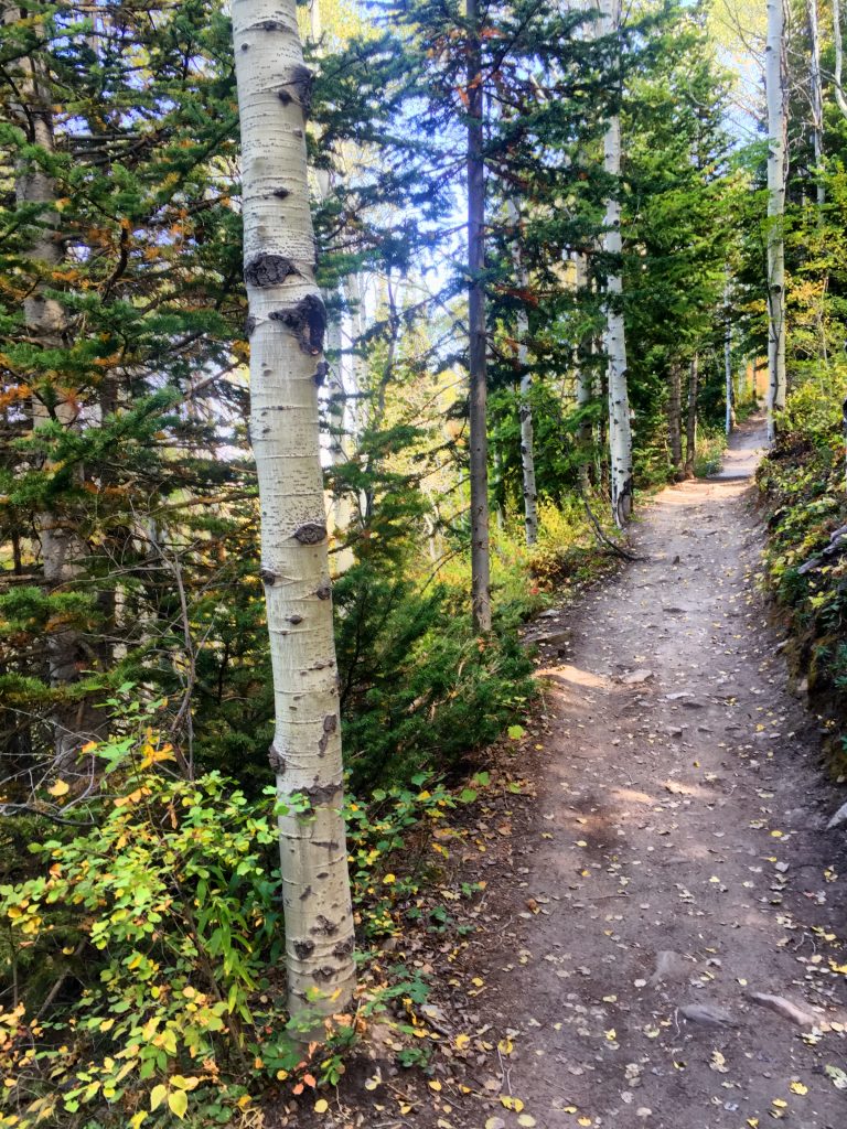 RJ Services - Mountain Mediation Center